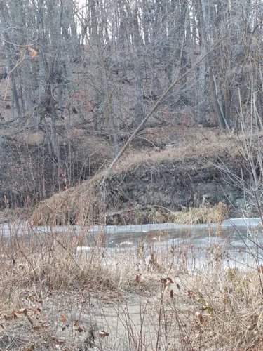 Best Hikes and Trails in Turtle River State Park | AllTrails