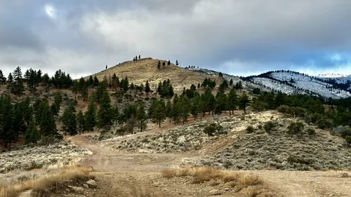 Best Off Road Driving Trails in Reno | AllTrails