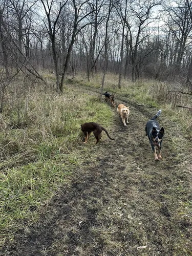 Best Hikes and Trails in Perch Creek Habitat Management Area | AllTrails