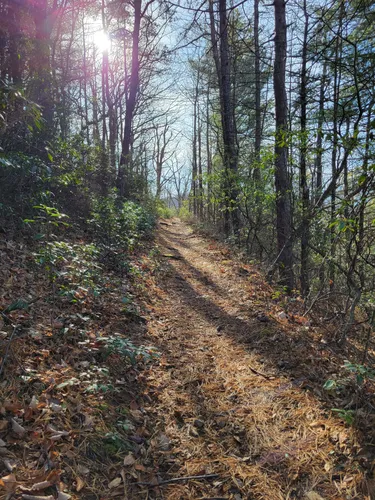 Best Hikes and Trails in Lost River State Park | AllTrails
