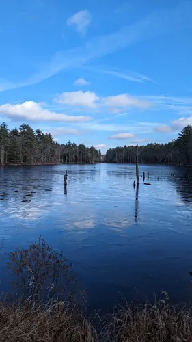 Best Hikes and Trails in Pulaski State Park | AllTrails