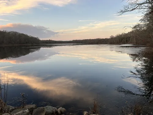 Best Hikes and Trails in Simmons Mill Pond Management area | AllTrails