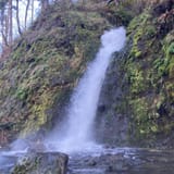 Ruckel Creek Falls Trails, Oregon - 49 Reviews, Map | AllTrails