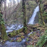 Ruckel Creek Falls Trails, Oregon - 49 Reviews, Map | AllTrails