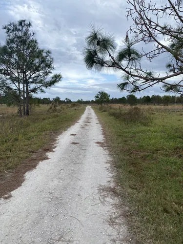 Best Hikes and Trails in Circle B Bar Preserve | AllTrails