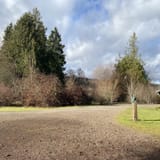 North Creek Trail, Washington - 557 Reviews, Map | AllTrails