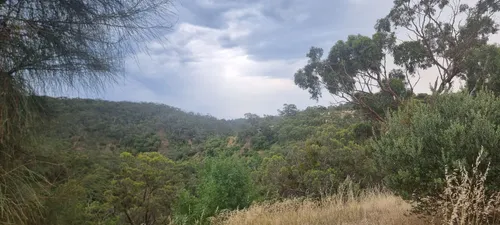 Best Hikes and Trails in Craigburn Farm Open Space Reserve | AllTrails