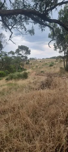 Best Hikes and Trails in Craigburn Farm Open Space Reserve | AllTrails