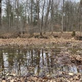 Two Lakes Loop Trail, Indiana - 554 Reviews, Map | AllTrails