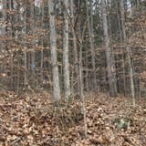 Two Lakes Loop Trail, Indiana - 554 Reviews, Map | AllTrails