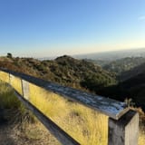 Hollyridge Trail to Hollywood Sign Viewpoint, California - 4,905 ...