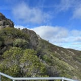 Verna Dunshee Trail and Plank Trail at Mount Tam East Peak, California ...