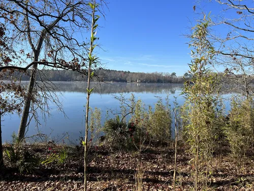 Best Moderate Trails in Standing Boy Trails | AllTrails