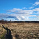 Cattle Point Trail, Washington - 121 Reviews, Map | AllTrails