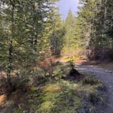 June Lake Trail, Washington - 789 Reviews, Map | AllTrails