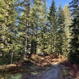 June Lake Trail, Washington - 789 Reviews, Map | AllTrails