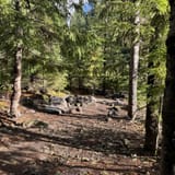 June Lake Trail, Washington - 789 Reviews, Map | AllTrails