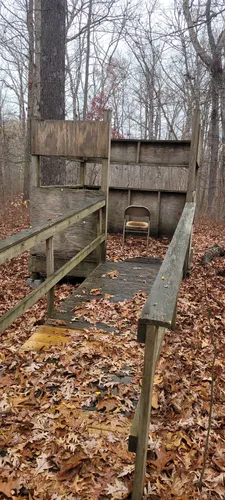 Best Hikes and Trails in Blackbird State Forest | AllTrails