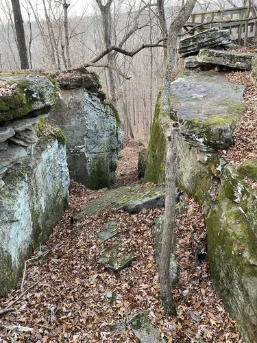Best Hikes and Trails in Millstone Bluff National Register Site | AllTrails