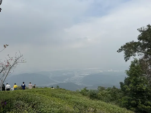 Best Forest Trails in Guangzhou Shi | AllTrails