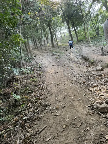 Best Forest Trails in Guangzhou Shi | AllTrails