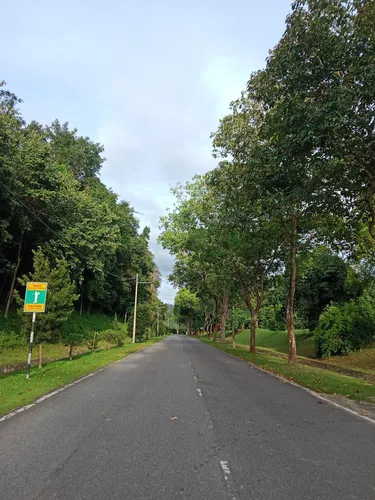Best Hikes and Trails in Hutan Simpan Bukit Perangin | AllTrails