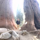 Congress Trail, California - 2,699 Reviews, Map | AllTrails