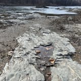 Virginius Island Trail, West Virginia - 203 Reviews, Map | AllTrails