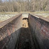 Virginius Island Trail, West Virginia - 203 Reviews, Map | AllTrails