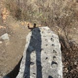 Virginius Island Trail, West Virginia - 203 Reviews, Map | AllTrails