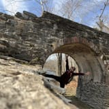 Virginius Island Trail, West Virginia - 203 Reviews, Map | AllTrails