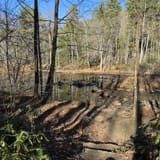 Linville Gorge Grand Loop, North Carolina - 486 Reviews, Map | AllTrails