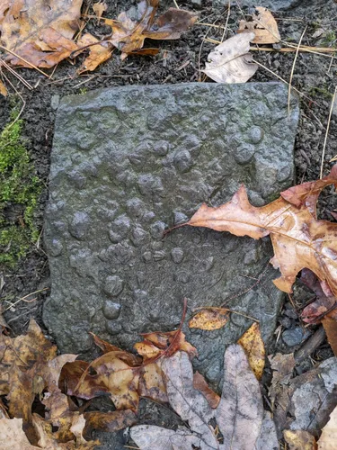 Best Hikes and Trails in Two Rivers State Park Recreation Area | AllTrails