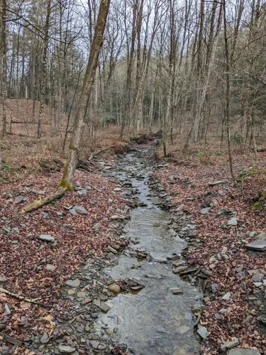 Best Hikes and Trails in Two Rivers State Park Recreation Area | AllTrails