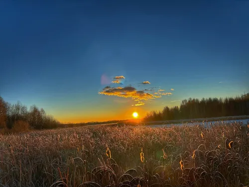 Best Hikes and Trails in Hasse Lake Park | AllTrails