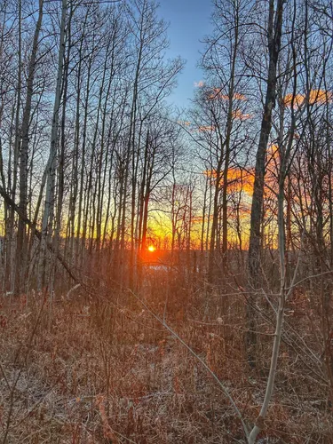 Best Hikes and Trails in Hasse Lake Park | AllTrails