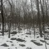 Bald Pate Mountain Trails, Maine - 801 Reviews, Map | AllTrails