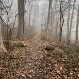 Bonner Park Loop, Pennsylvania - 305 Reviews, Map | AllTrails