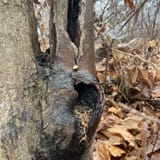 Bonner Park Loop, Pennsylvania - 305 Reviews, Map | AllTrails