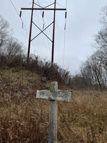 Best Hikes and Trails in The Rock Lot / Scott Preserve | AllTrails