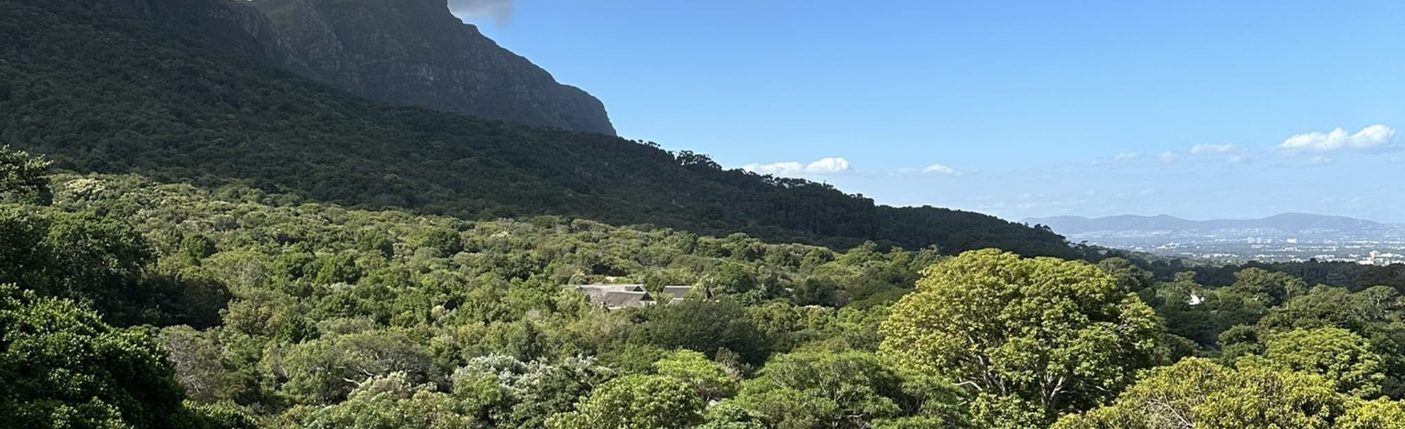 Cecilia Forest to Kirstenbosch via Nursery Ravine, Western Cape, South ...