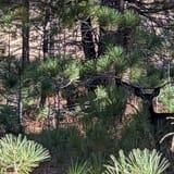 Alpine Pedal Path Trail, California - 893 Reviews, Map | AllTrails