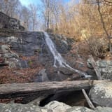 Whiteoak Canyon and Cedar Run Trail Loop, Virginia - 2,248 Reviews, Map ...
