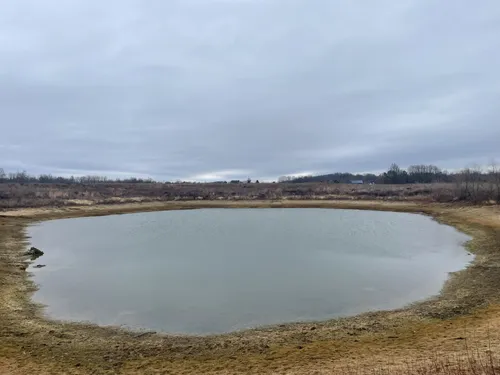 Best Hikes and Trails in Springfield Bog Metro Park | AllTrails