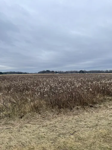 Best Hikes and Trails in Springfield Bog Metro Park | AllTrails