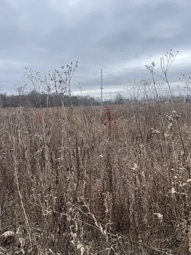 Best Hikes and Trails in Springfield Bog Metro Park | AllTrails