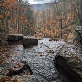 Tinker Falls Upper, New York - 518 Reviews, Map | AllTrails