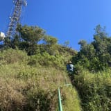 Cerro de Punta, Central Region, Puerto Rico - 129 Reviews, Map | AllTrails