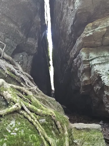 Best Hikes and Trails in Panama Rocks | AllTrails