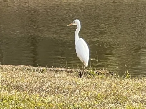 Best Hikes and Trails in Chewacla State Park | AllTrails